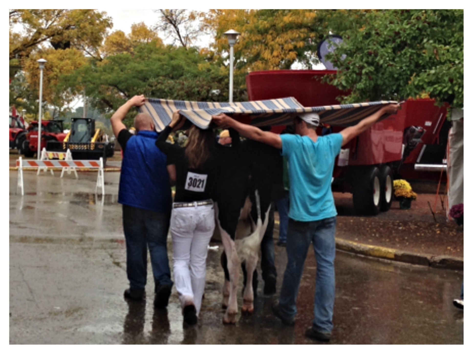 Our First Decade – HeimDairy